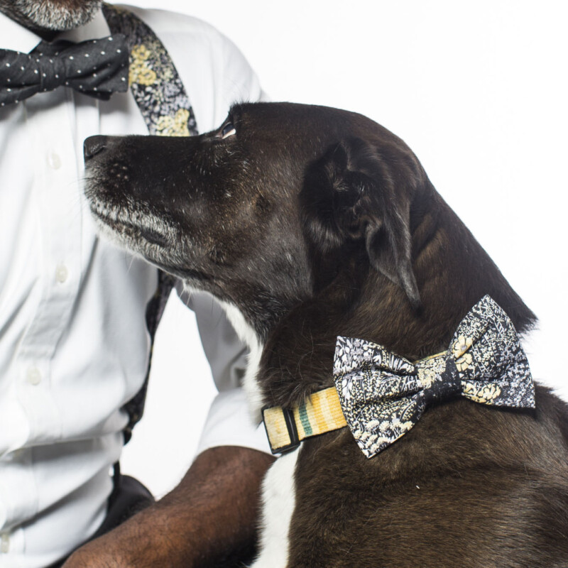 Black Flowers Dog Bow - Durian & The Lyon